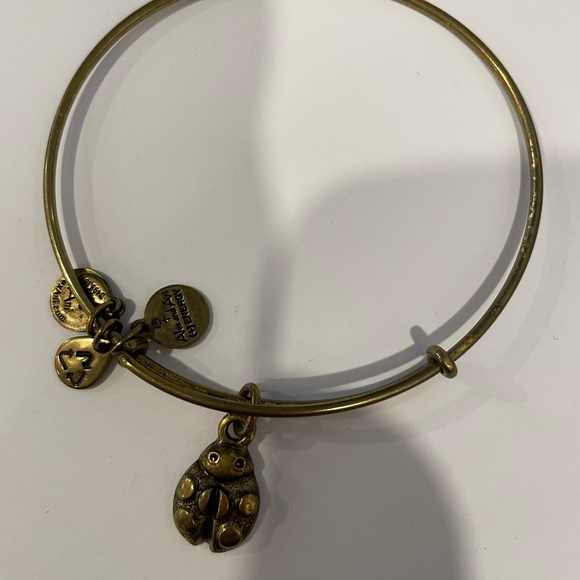 Jewelry Alex And Ani Ladybug Poshmark